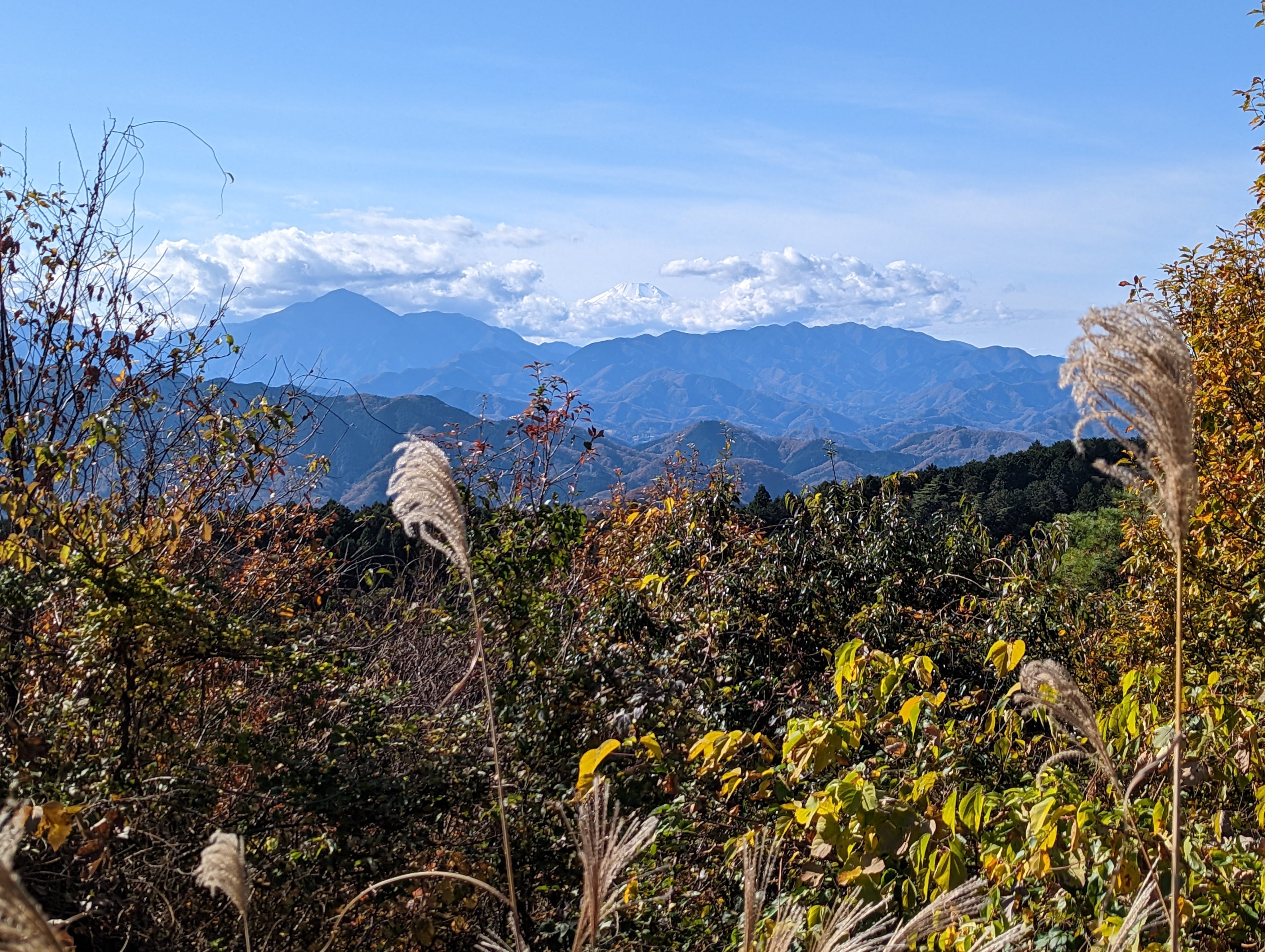 Spaghetti Sins - by Phoebe Amoroso - Pheebz Eatz