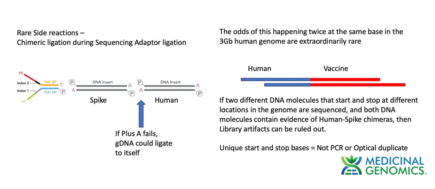 Targeted Enrichment and sequencing of BNT162b2 from OvCar3 cells