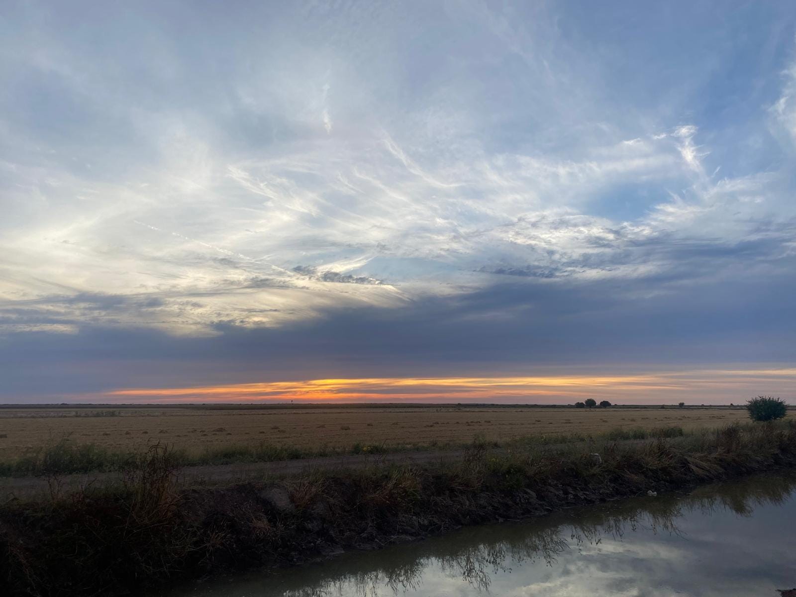 Consultoría BG5 - El Substack de Pentaconsult