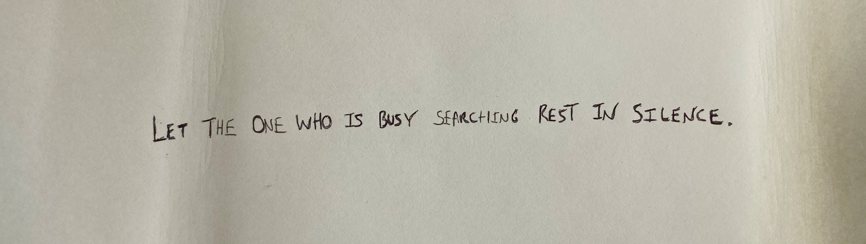 On relevance realization, wisdom, and meditation