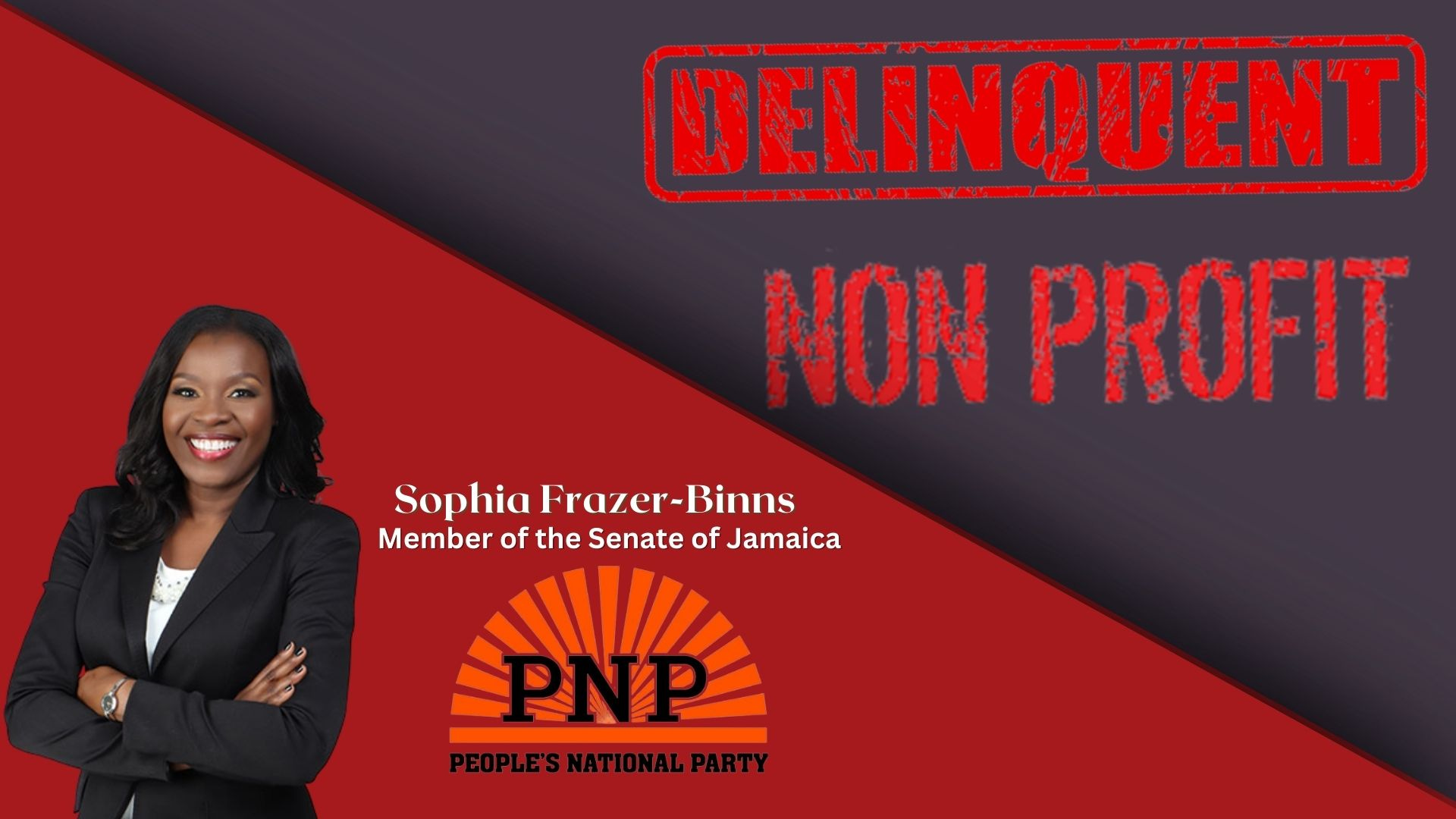 Shadow Spokesperson on Land, Environment & Climate Change Sophia Frazer ...