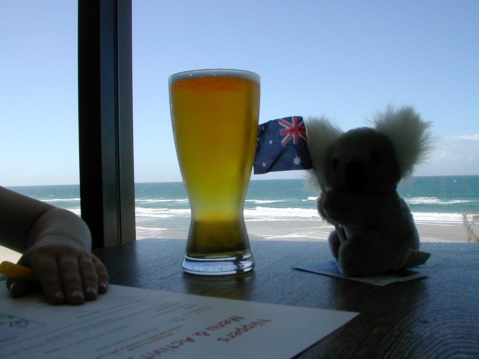 Pictorial political dictionary - by David Slack