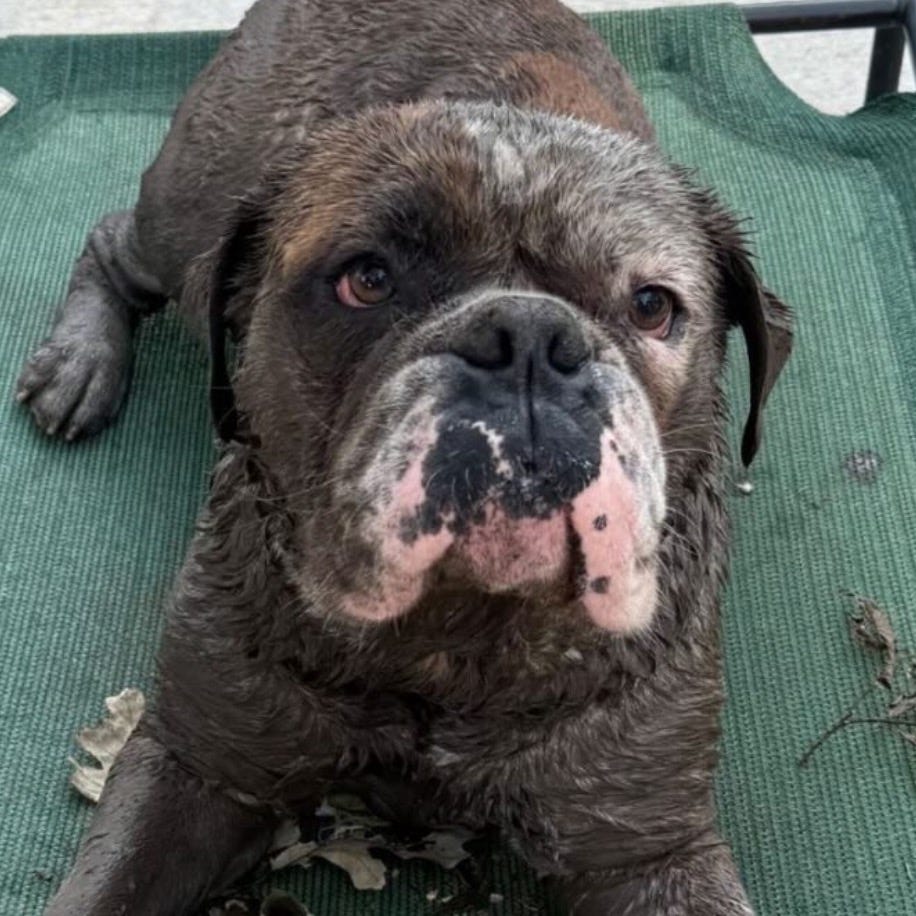 Clay Jackson | Substack