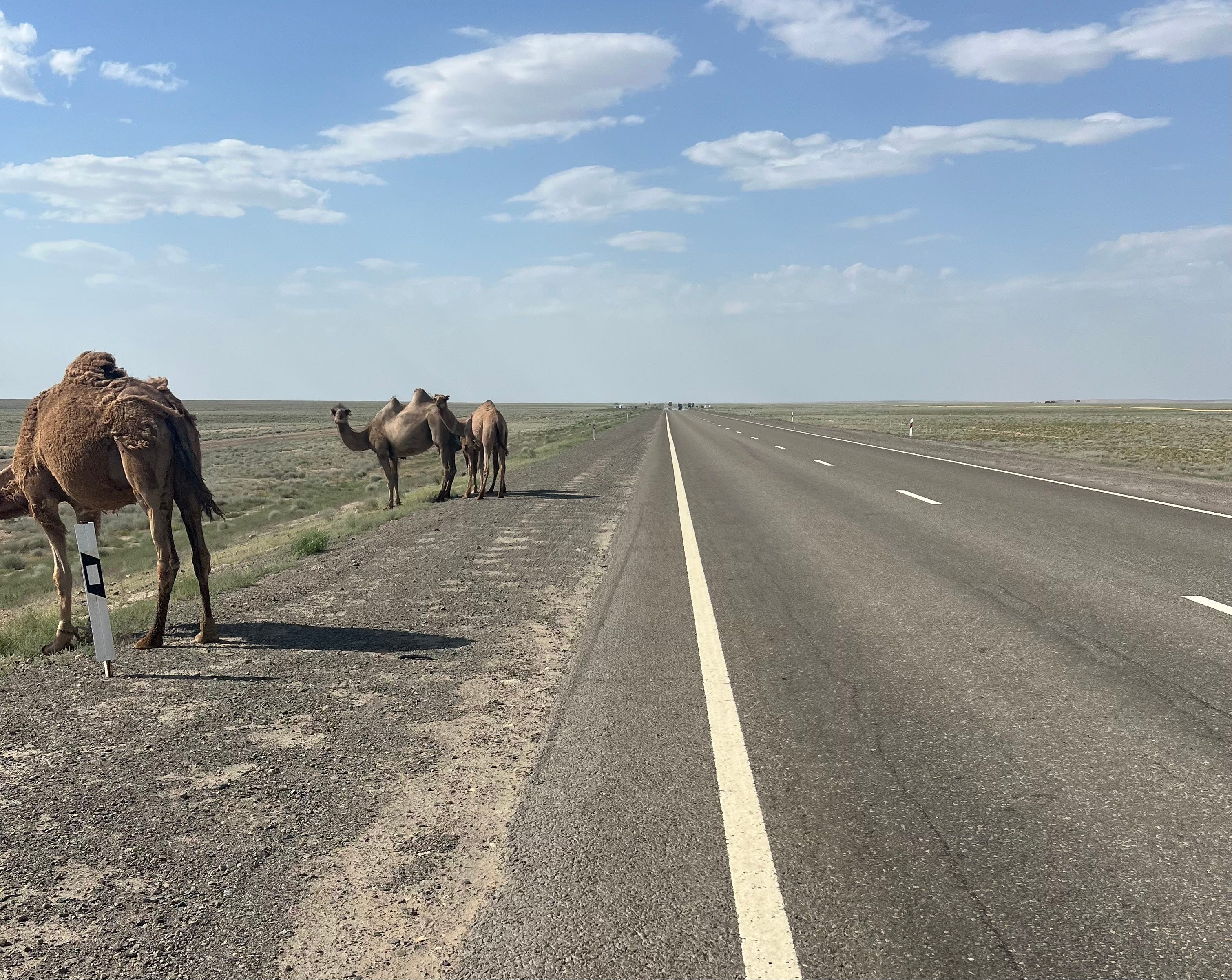 Uzbek Hospitality - by Jack Langton - Jack’s Substack