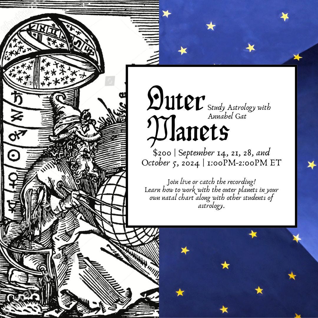 Week of August 19, 2024 - by Annabel Gat