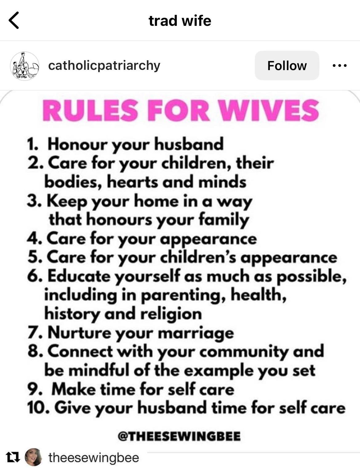 I Would Have Been a Trad Wife Influencer