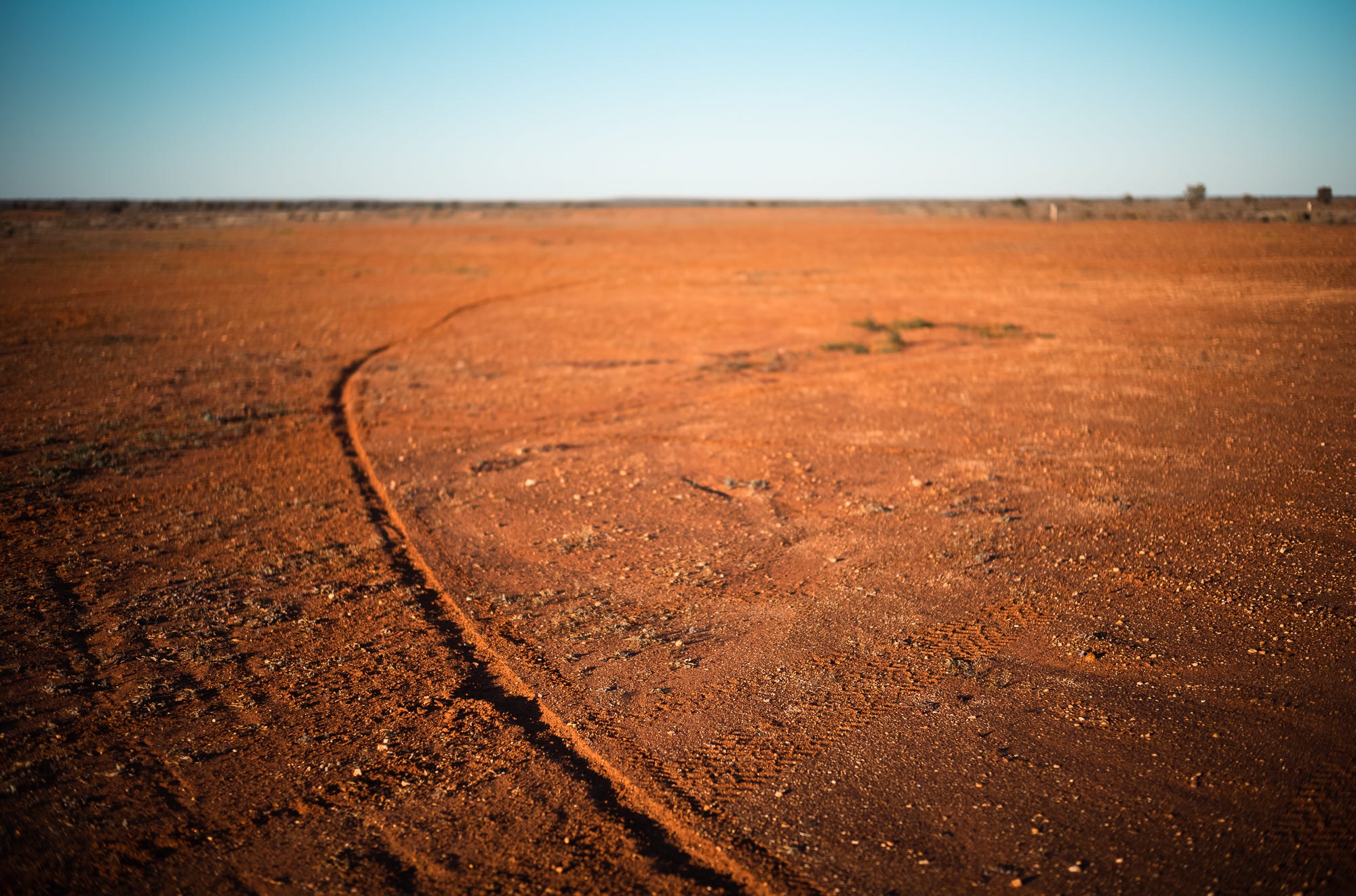 Lines of Destiny - by deze - Planetos