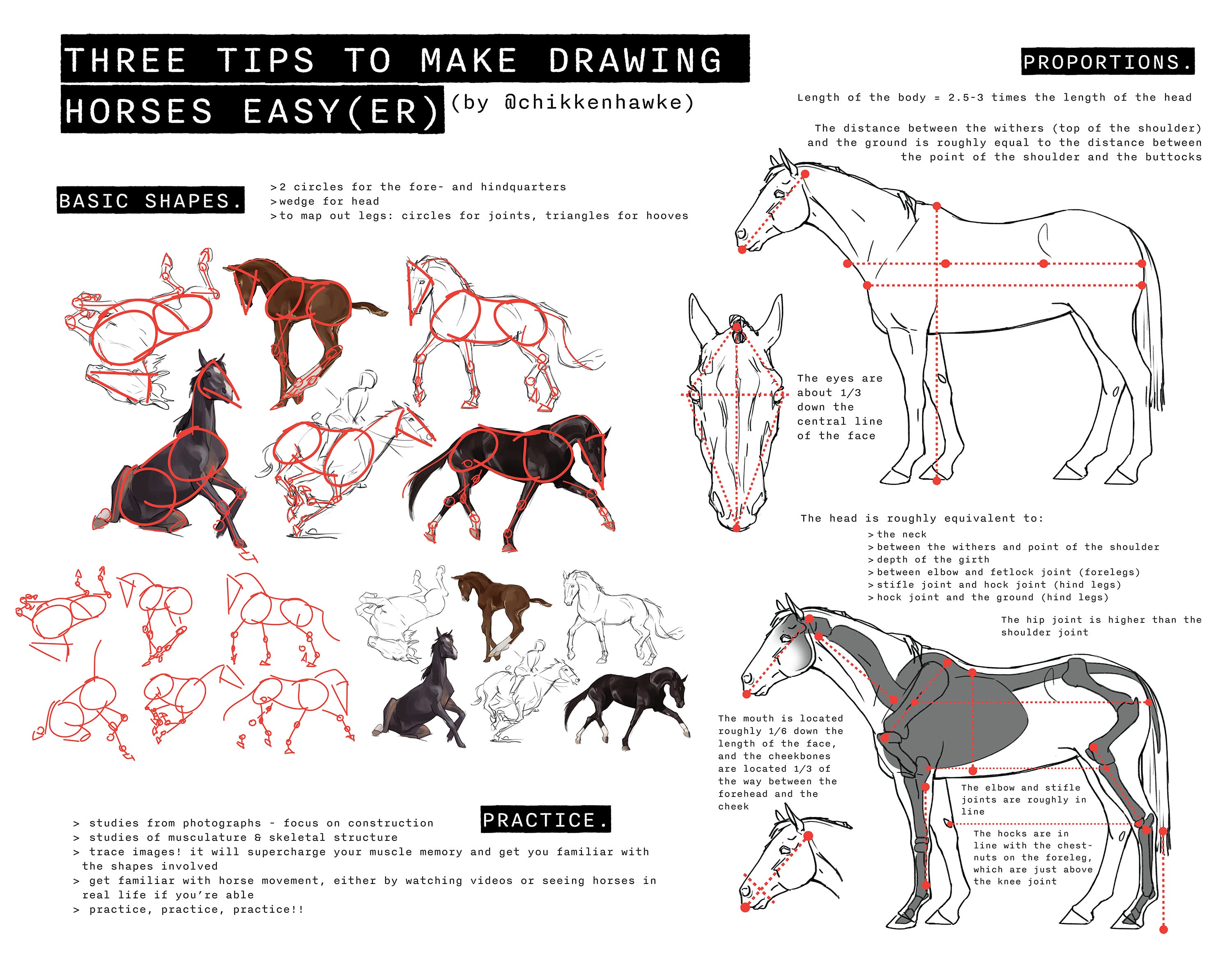 How To Draw A Horse Head Front View