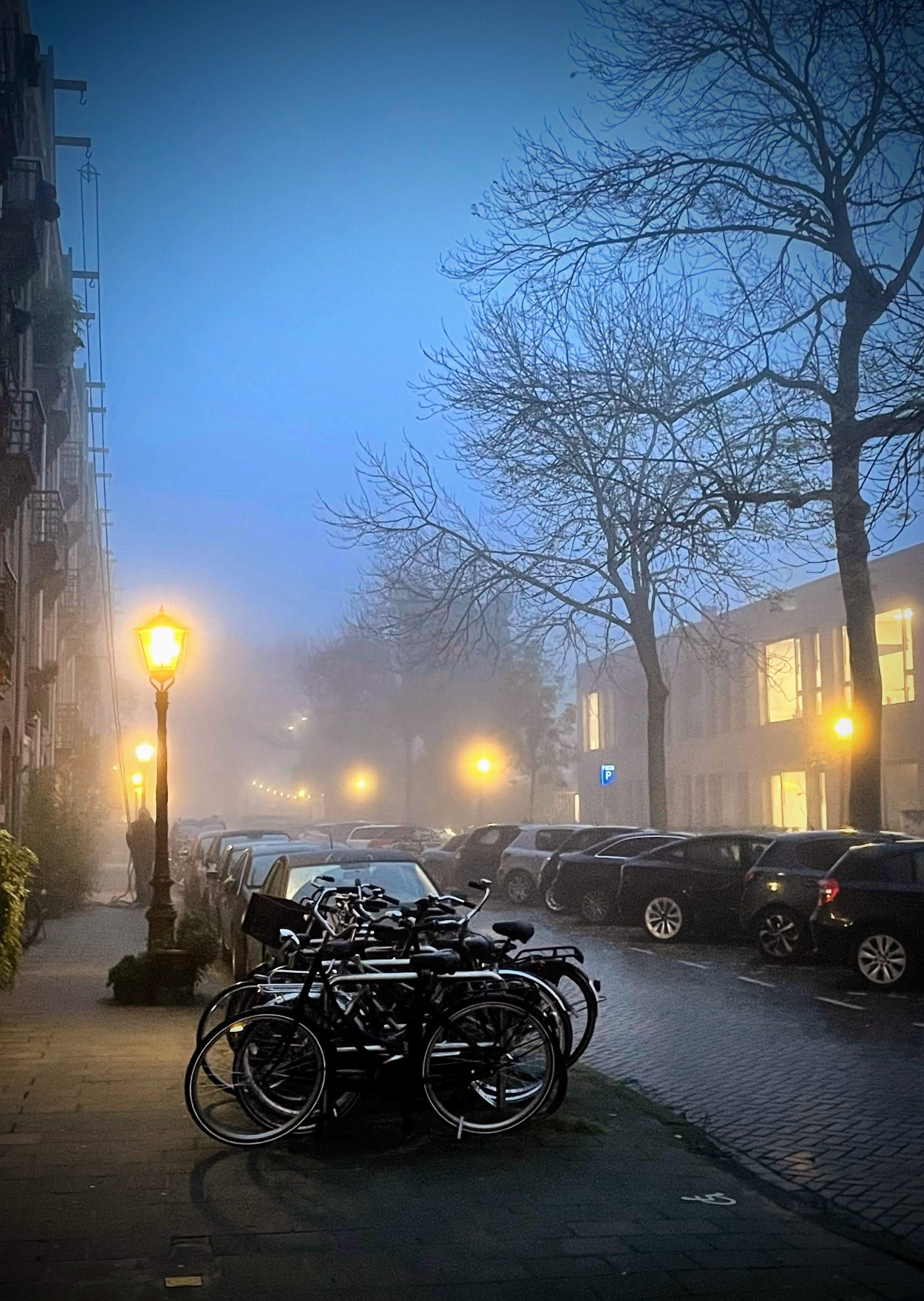 The darkness of the season - by Sarah Bringhurst Familia