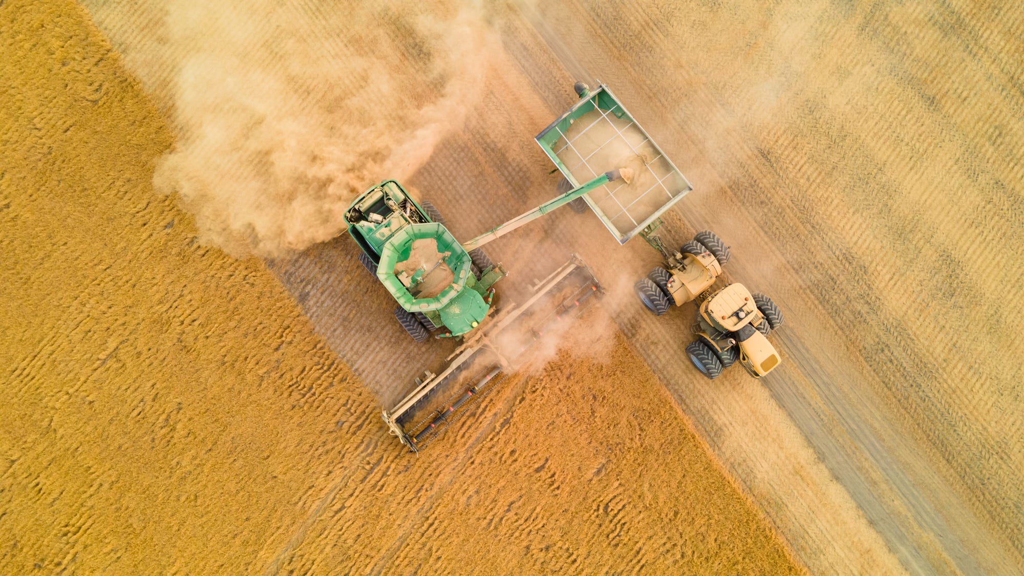 Harvest Meals - by Stacy Bronec - Farm to Table