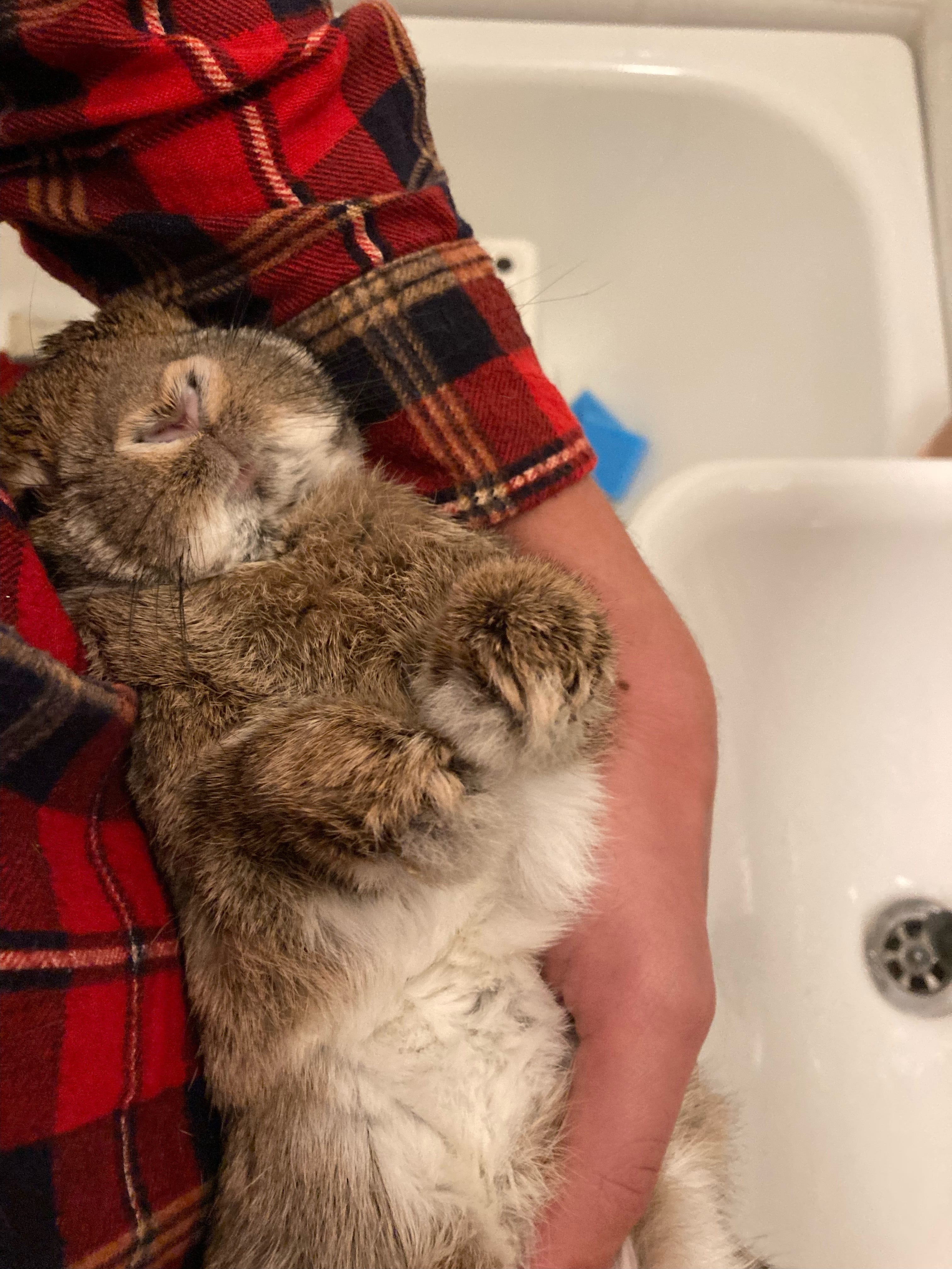 Brev 46 till Olga: 31:a December - by Olga och Jonas