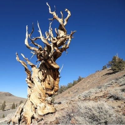 EYC Investing | Substack