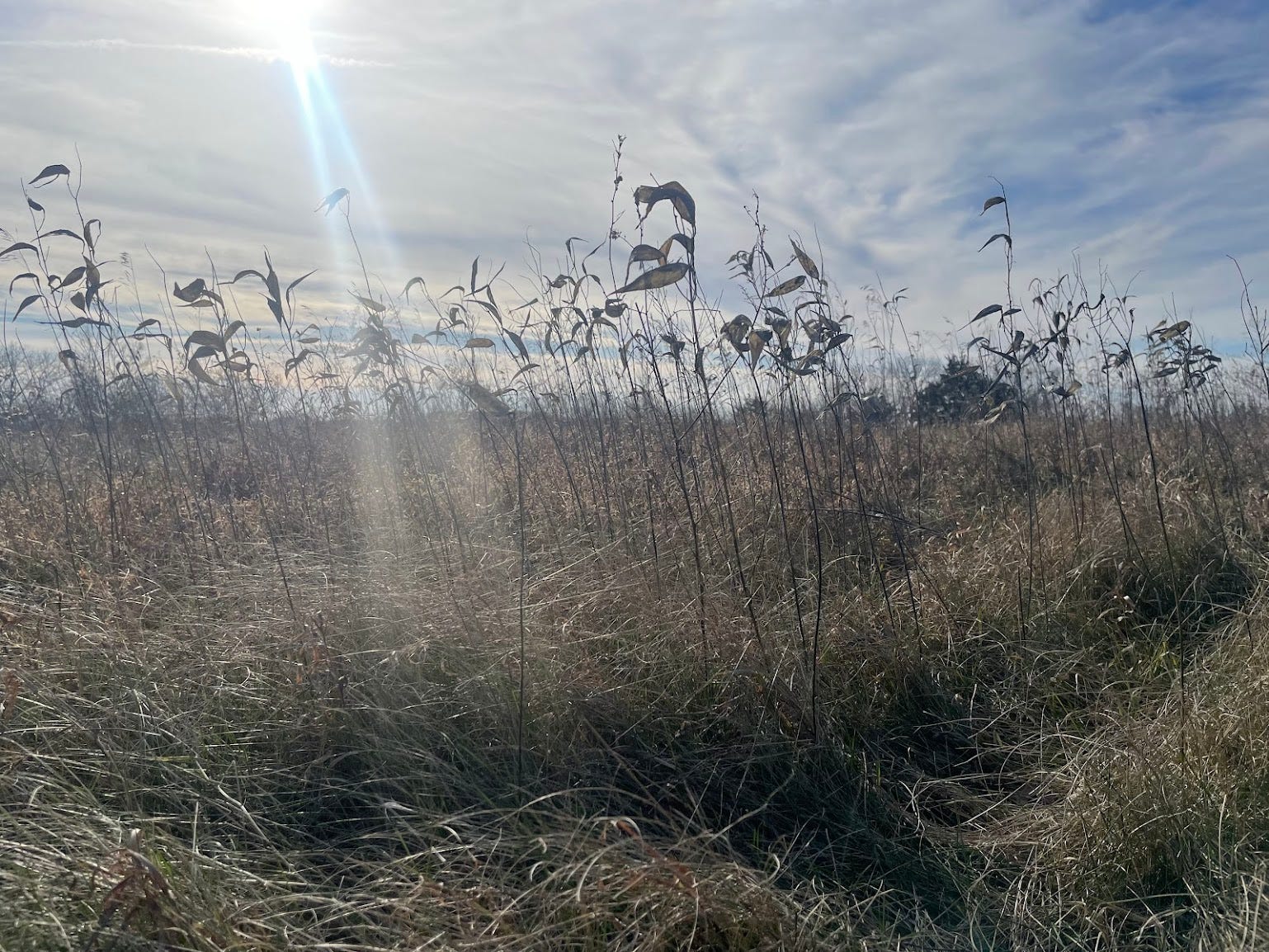 What a God Awful Day in Madison - by Mark E. Griffin