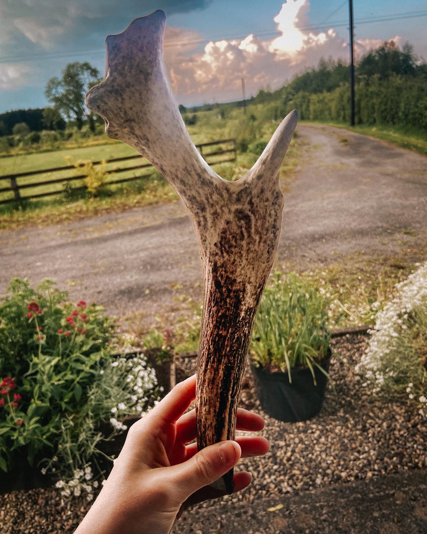 I Found Something at the Ancient Irish Passage Tombs