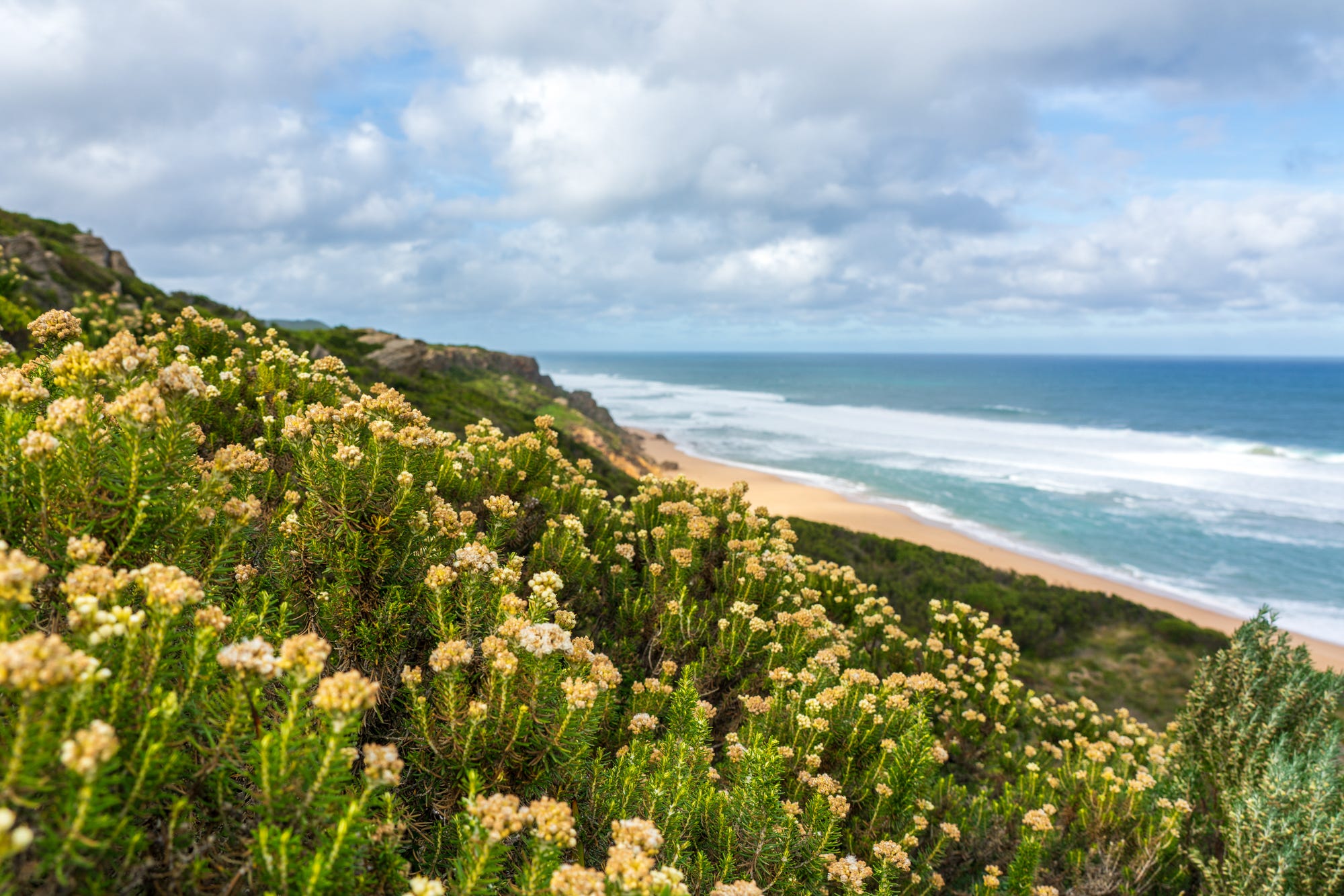 The Endless Ocean and Six Feet Under - by Burcu Basar