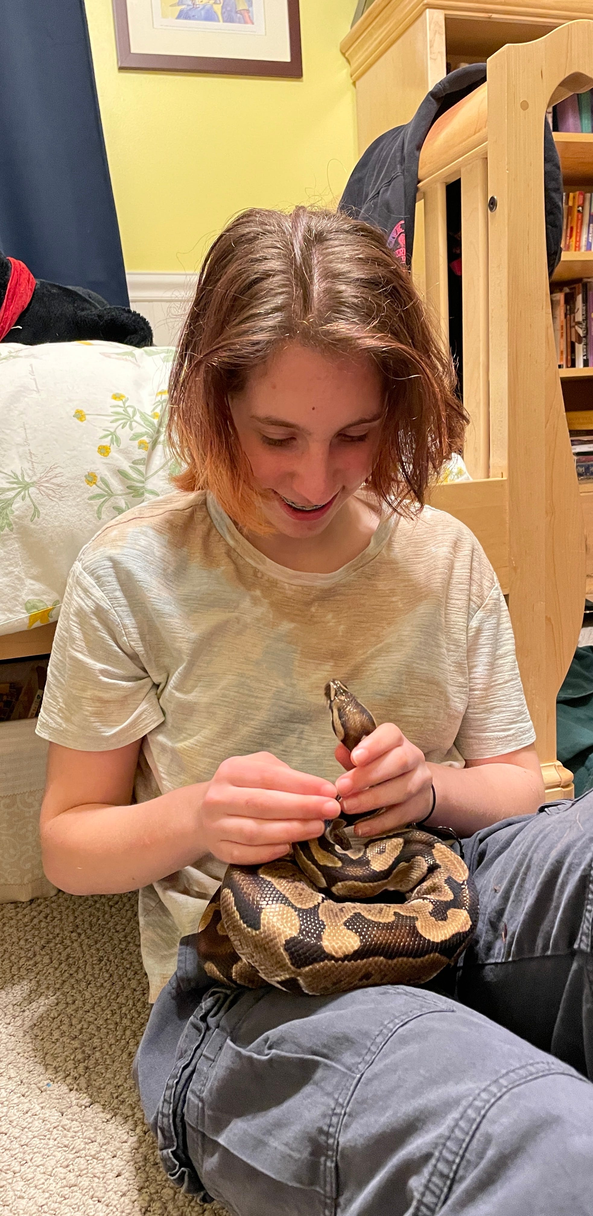 Noodle and Linguine - by Jane Ehrenfeld - Whimsy and Pique