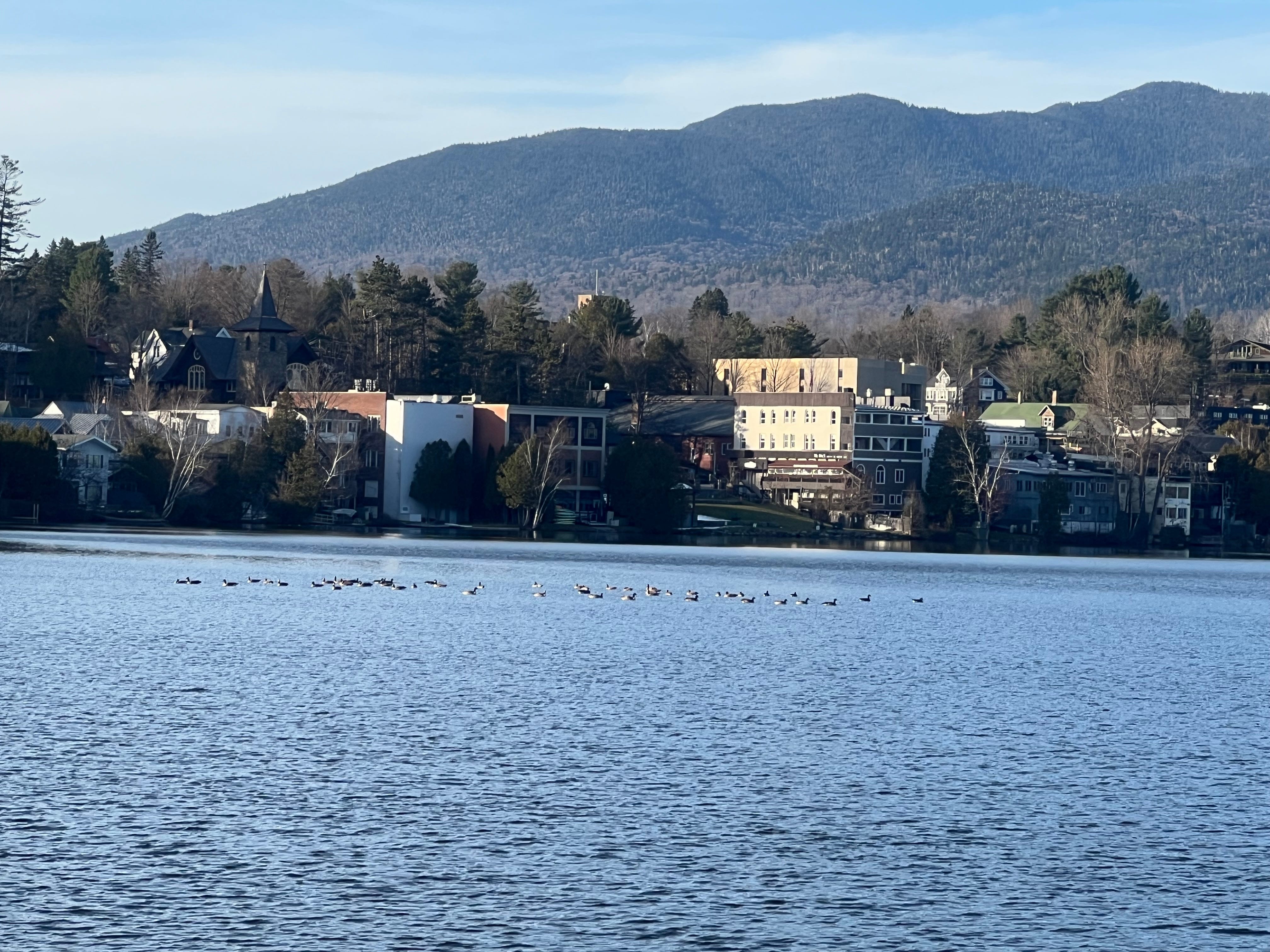 The Geese - Bruce Rowe's Substack