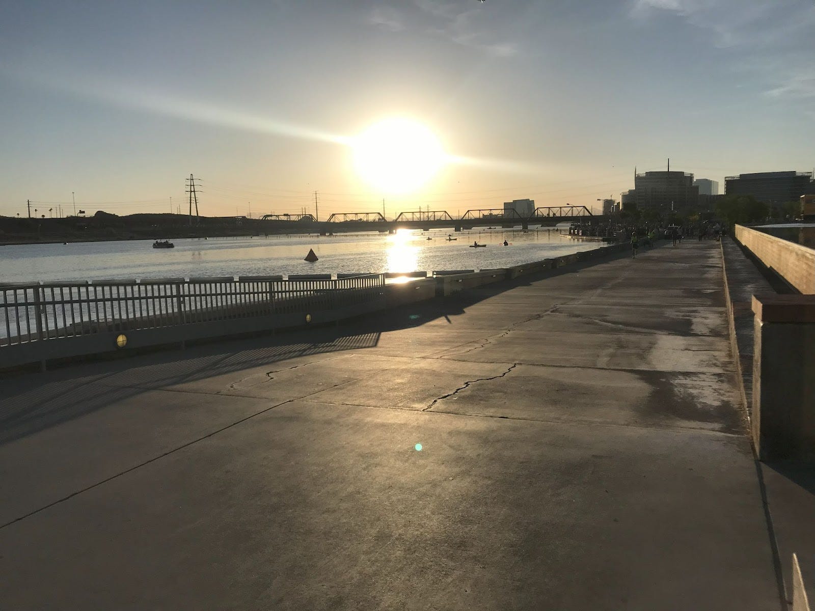 Cactus Man in Tempe - by Billy Robb - Cholla Express