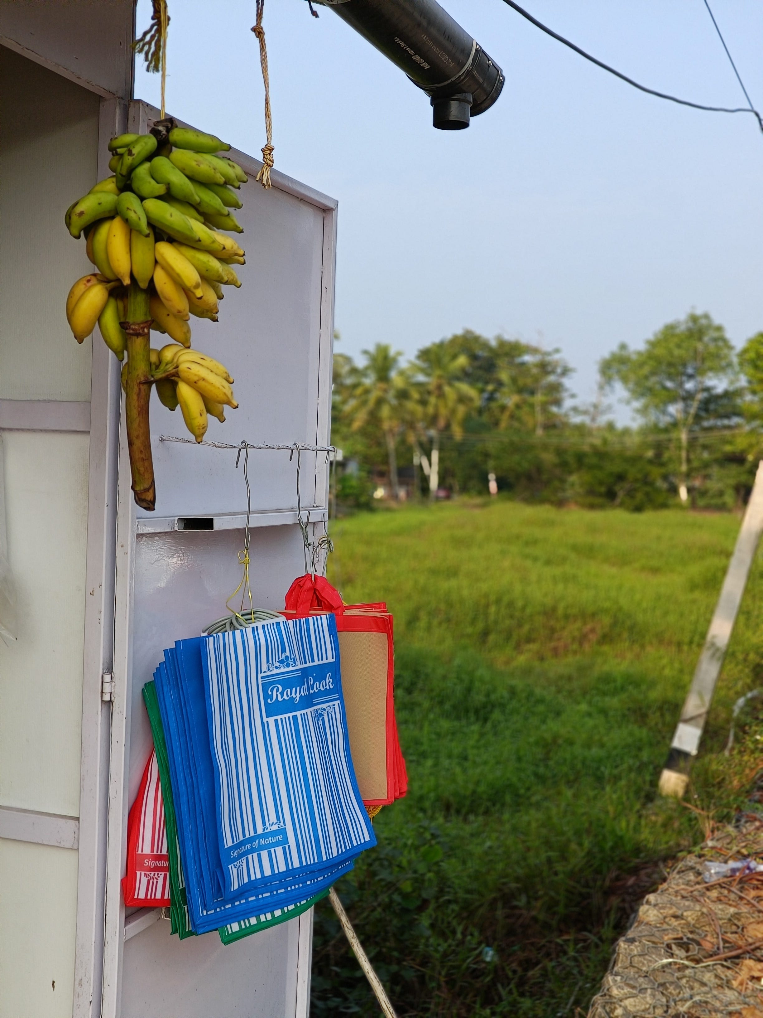 The Story of Padmanabha -1 - by SurekhaChandrasekhar