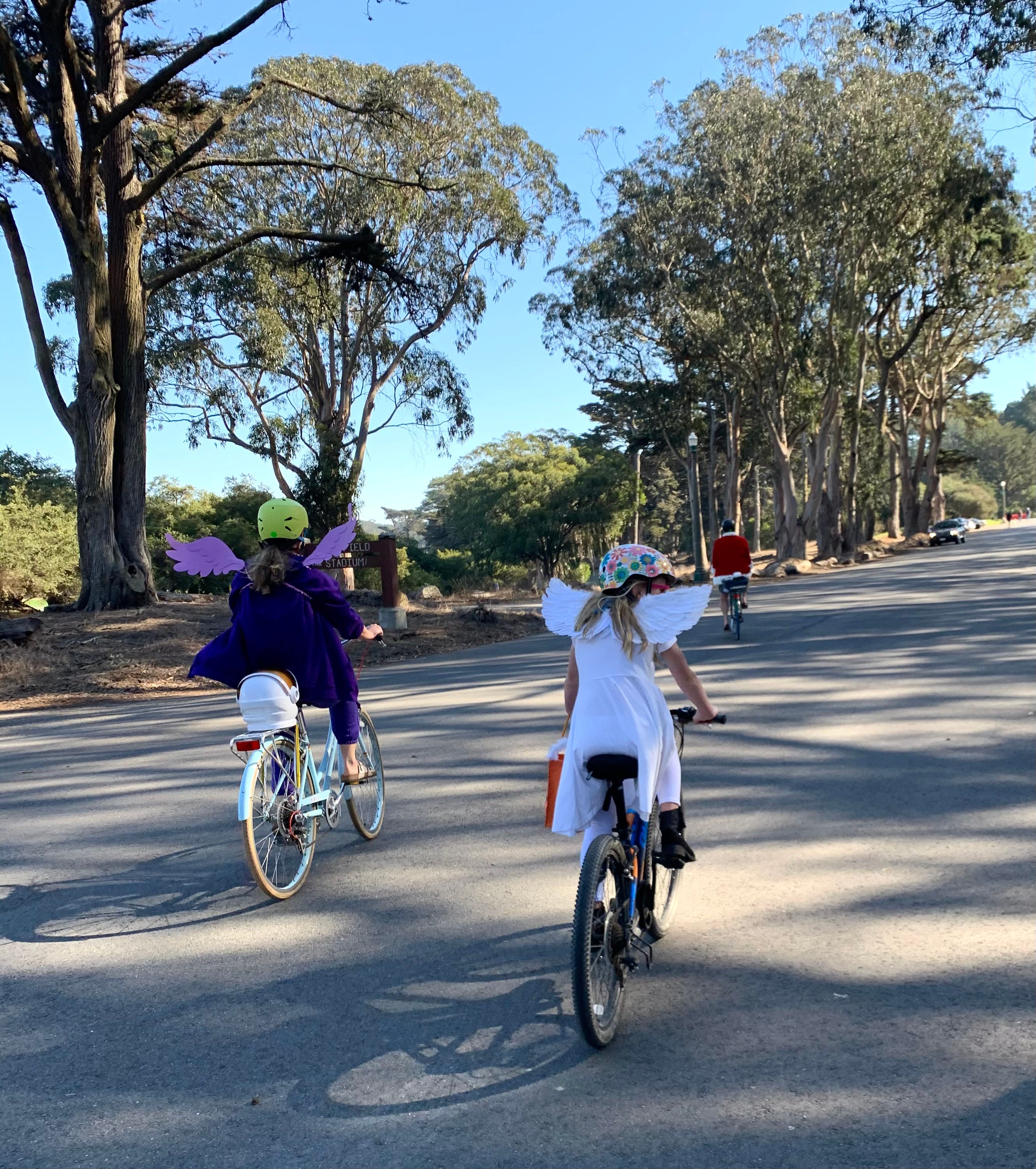 Wonderland - by Susan Freinkel