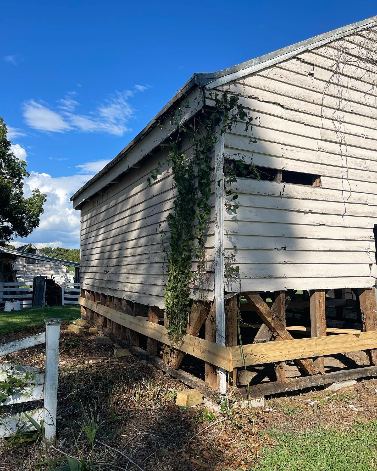 October at Hayes - by Beth Yarbrough - Southern Voice