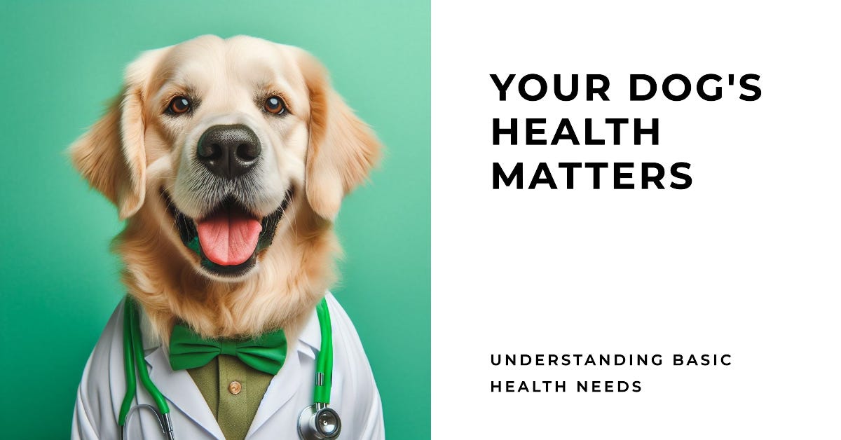 Understanding Your Dog's Basic Health Needs