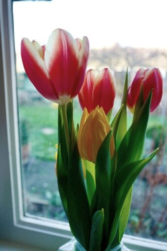 Monday 23 January, 2023 - by John Naughton - Memex 1.1