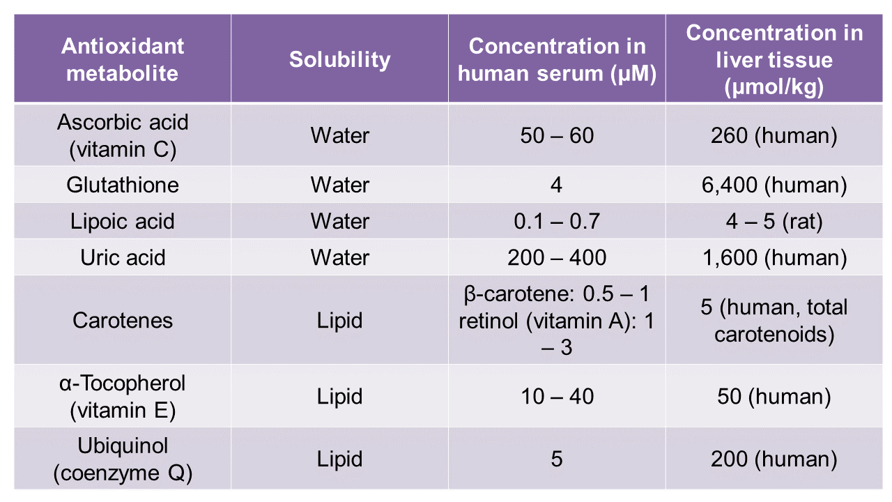 Antioxidants: What are they and why do we need them?