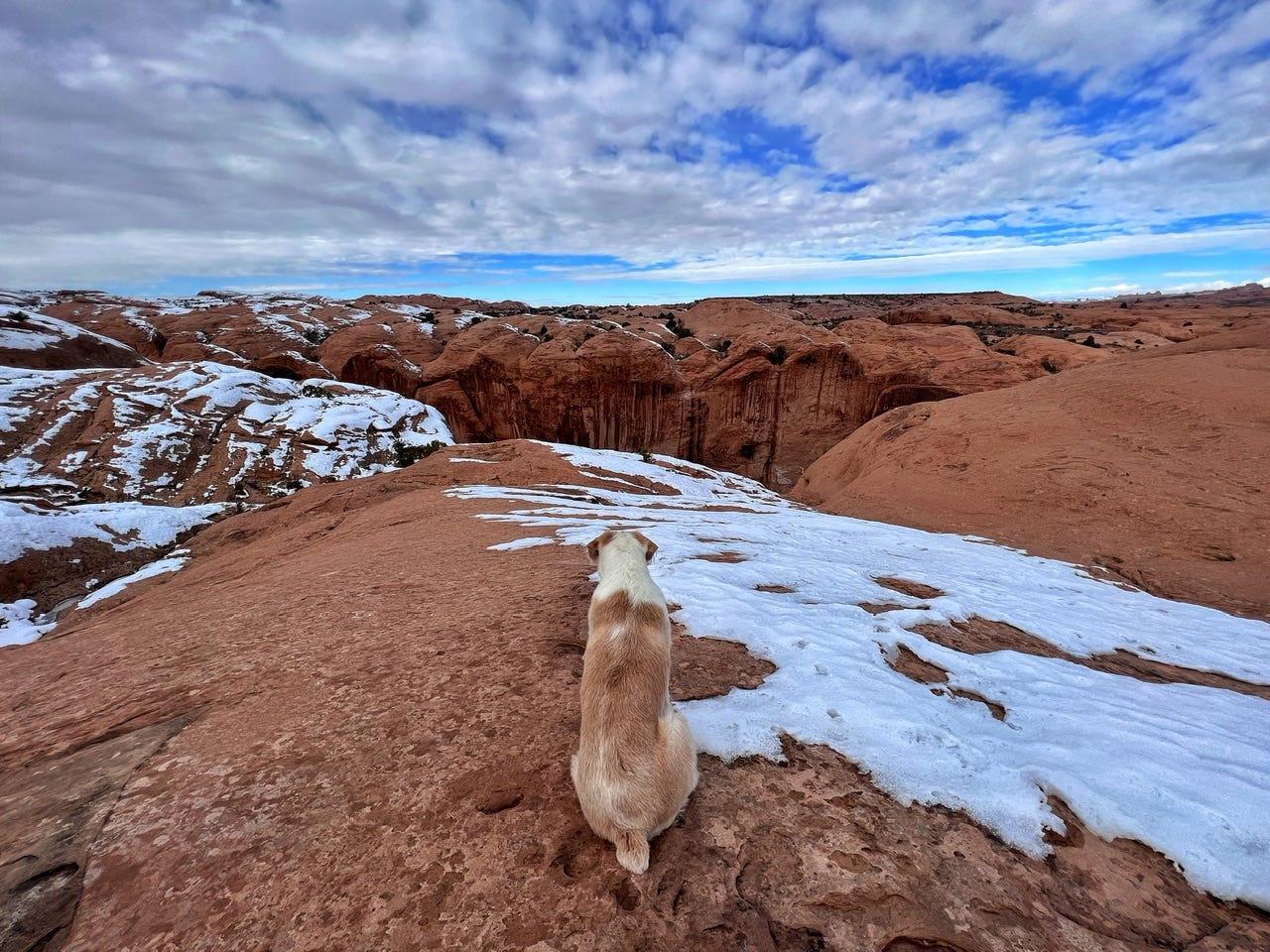 Postcards from the Open Road: Moab - Tom Ryan, Author