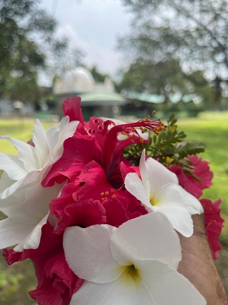 Taking Flowers to Samadhi - by Prema J. Camp - Purely Prema