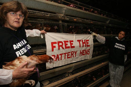 Why We Need to Cross Dangerous Lines - by Wayne Hsiung