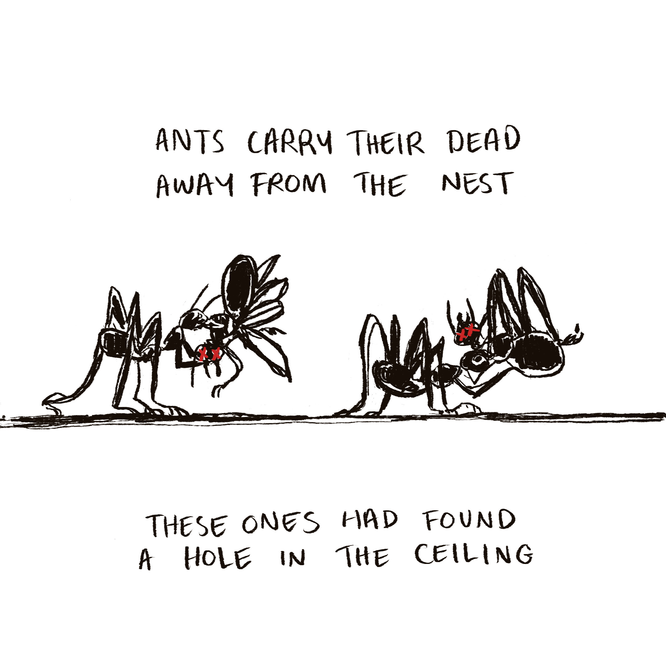 Here There Be Ants - by Tara Black - Tara Comics