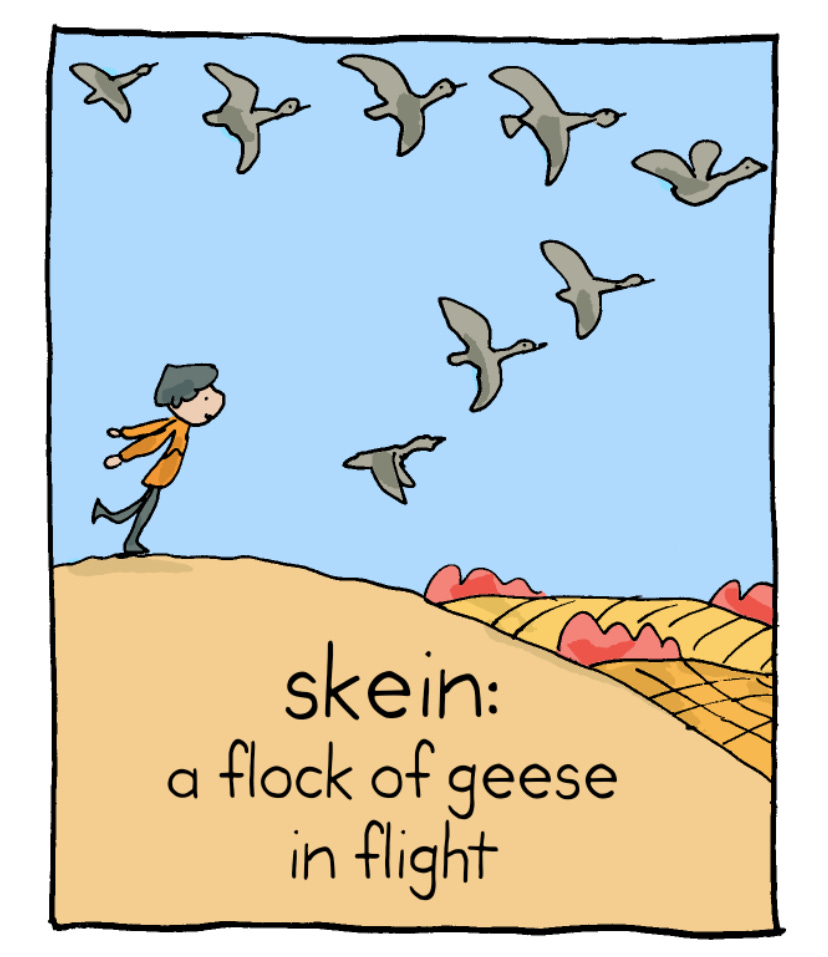 Monosyllabic Words By Grant Snider Incidental Comics