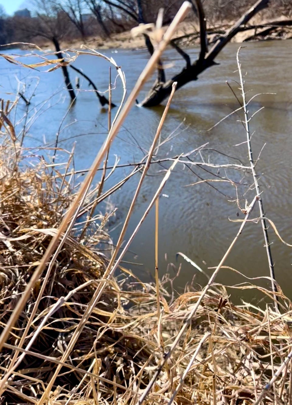 Ebb and flow - by Mary Krawczyk - In Between