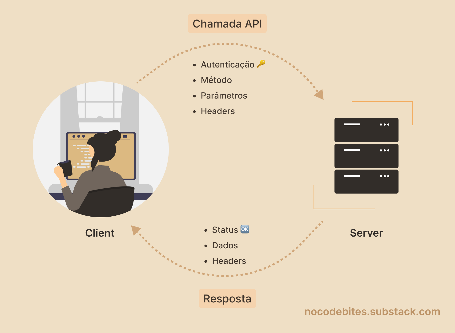 Entendendo como funcionam as chamadas API