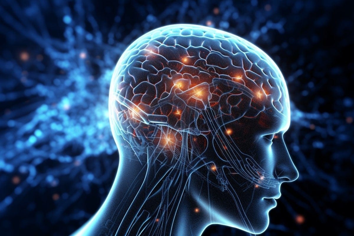 Understanding Neural Plasticity: How Our Brains Change