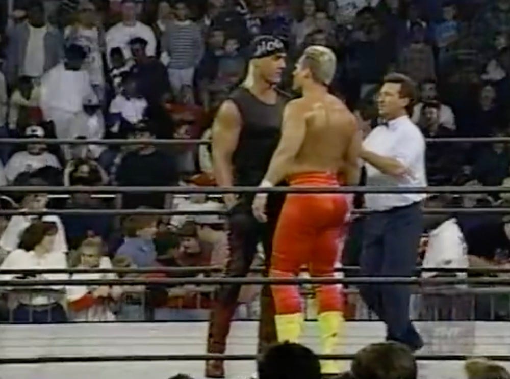 November 1995 WCW Show Reviews - by Andrew