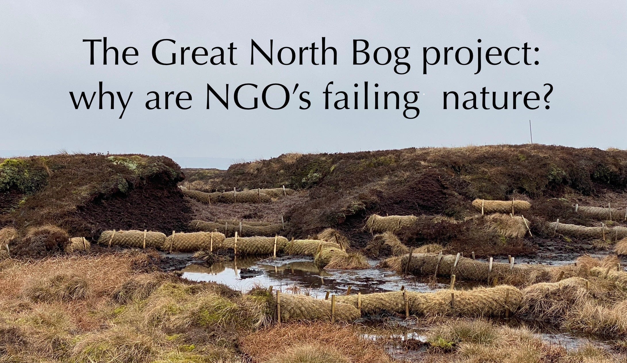 Why are NGO’s Failing Nature? - by Stephen Fern