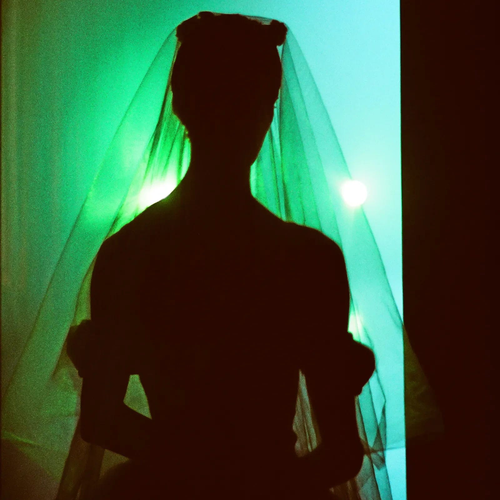 Elizabeth Kaye Cook | Substack