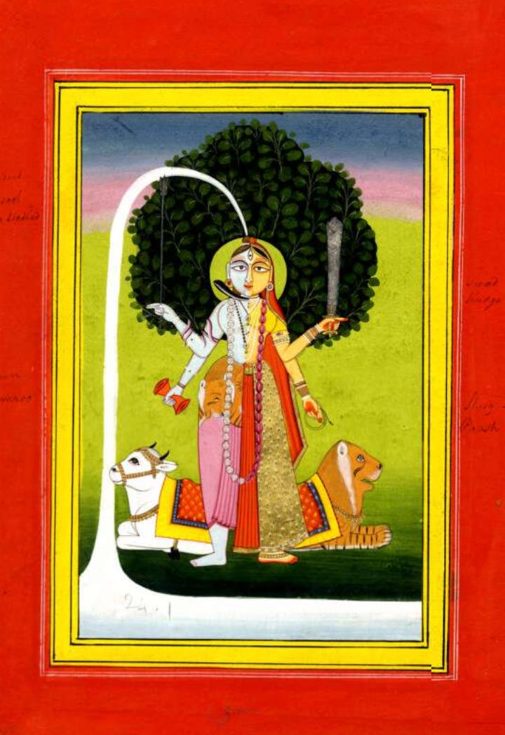 Gender Fluidity in India - A World Without Gender