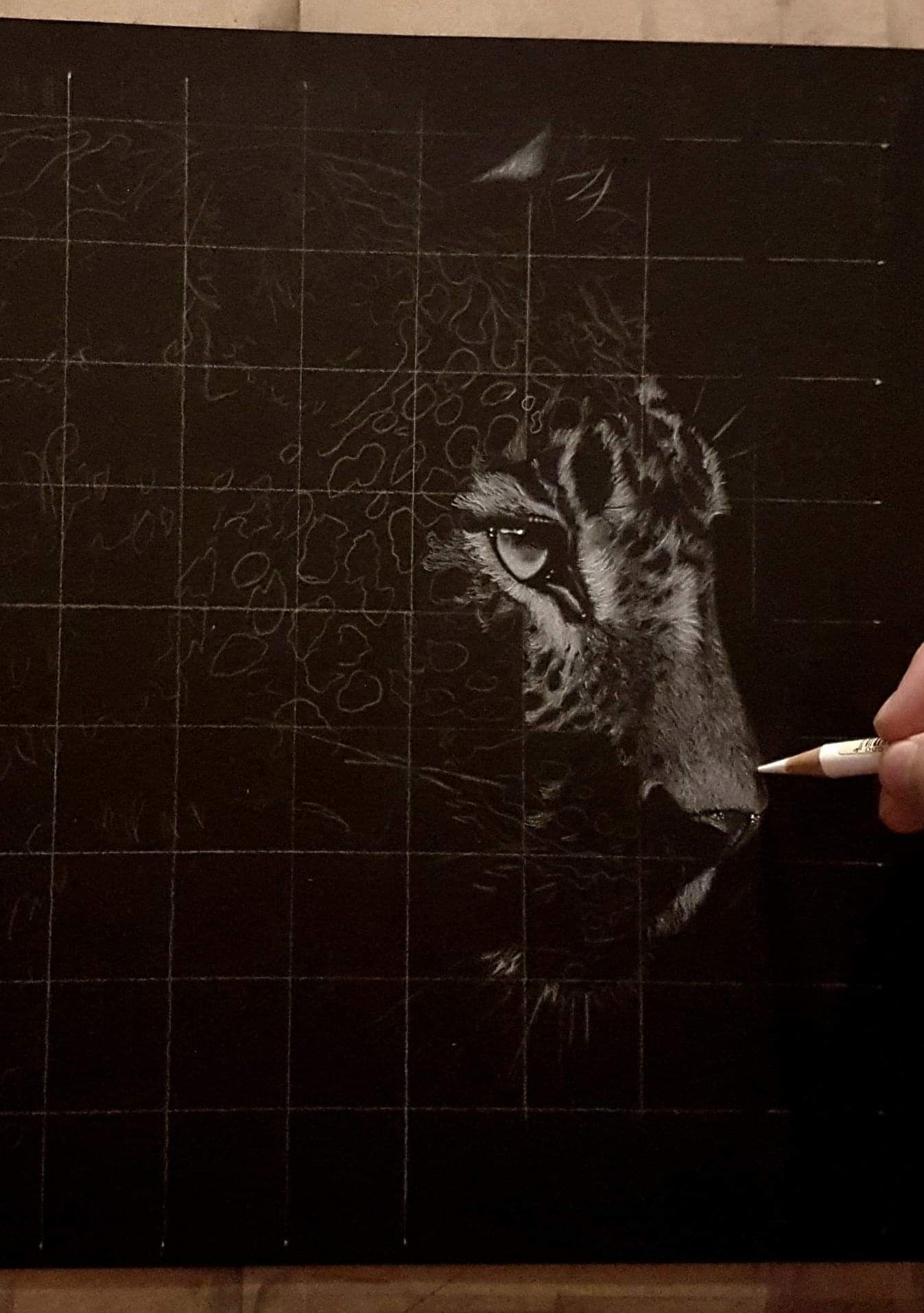 Study on cats - by Yulle - Moon Child