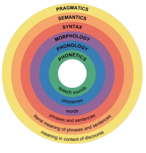 What Is Linguistics and Why Does It Matter?