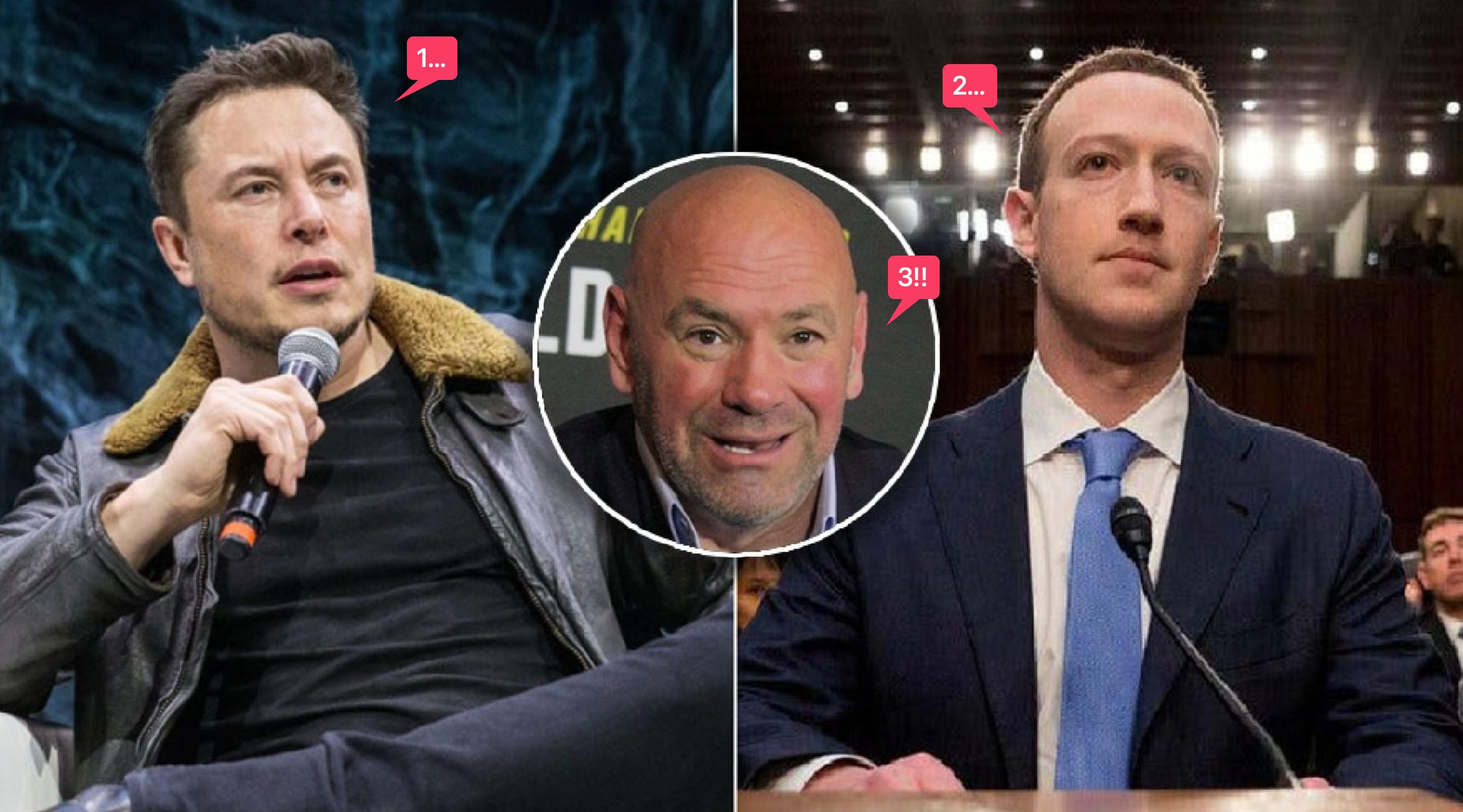 Zuck VS Musk : le combat UFC - Eric Chandonnet