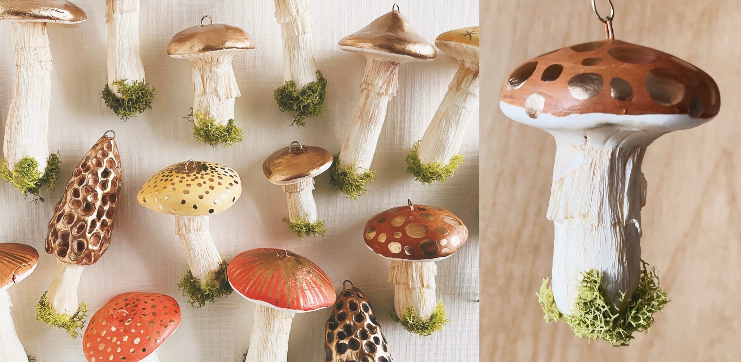 Festive Fungi - by Carrie Shryock - The Observationalist