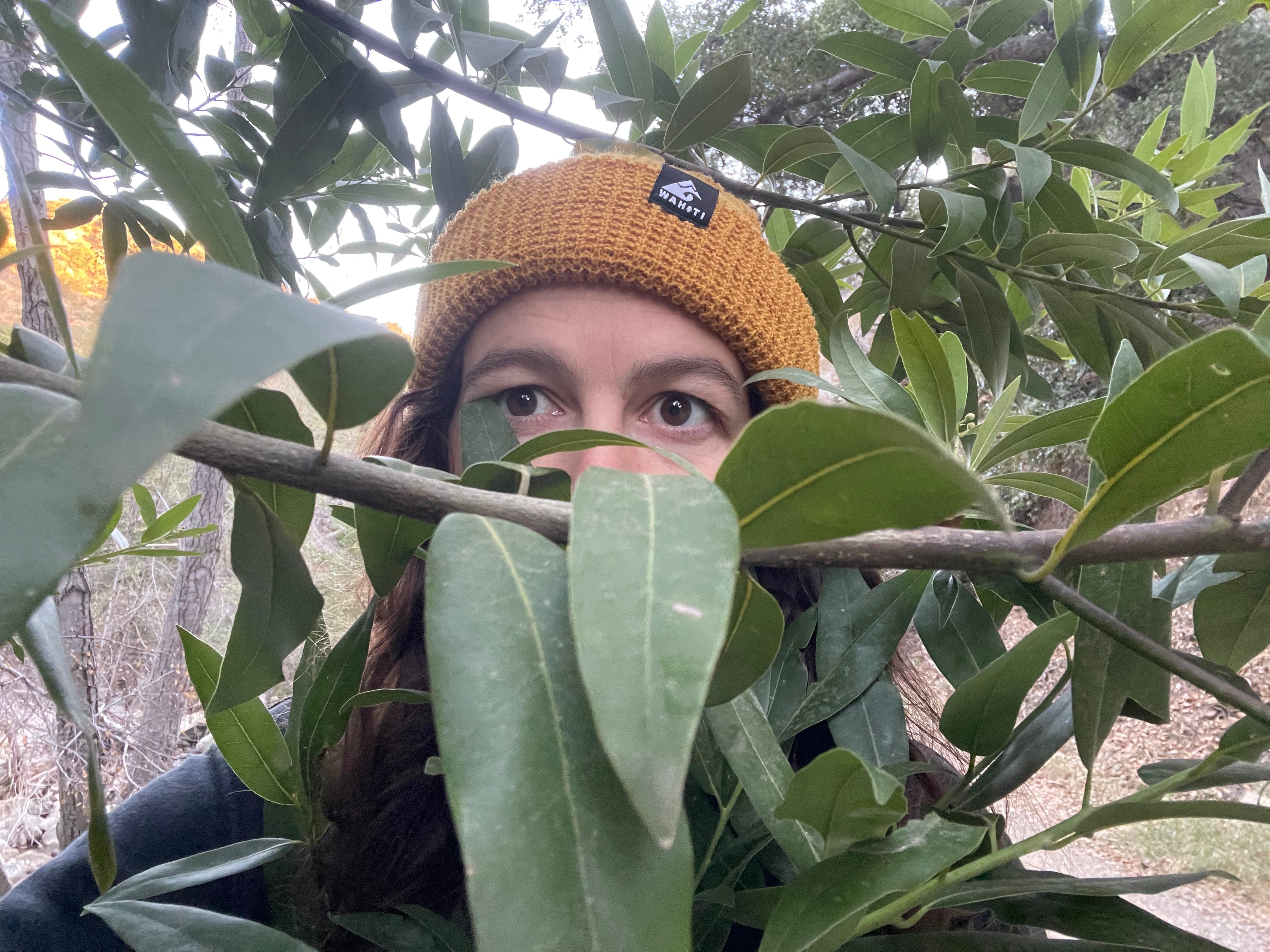 Kelly Ramsey | Substack