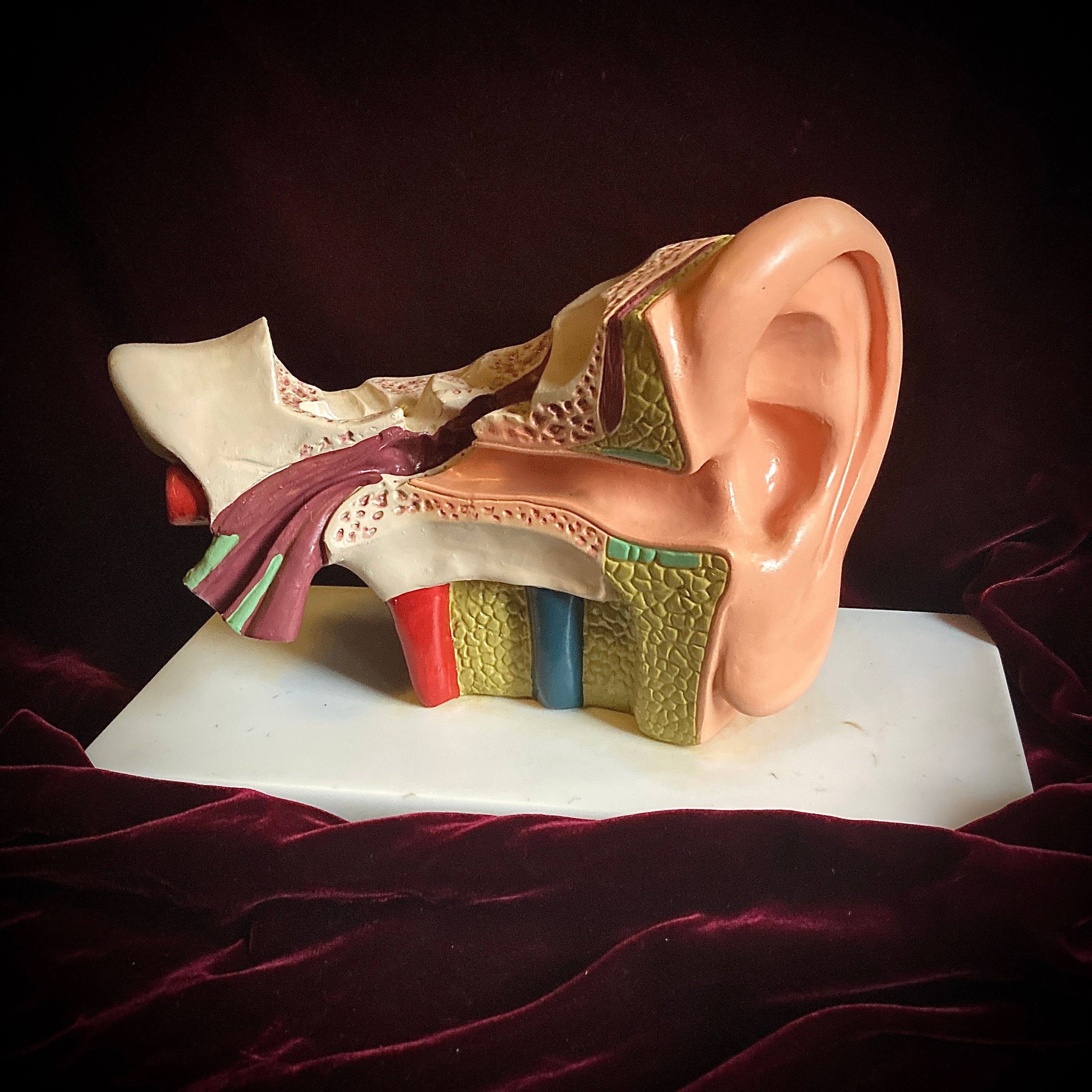 à la carte 2022 - by Richard Buckner - EXTRACTIONS