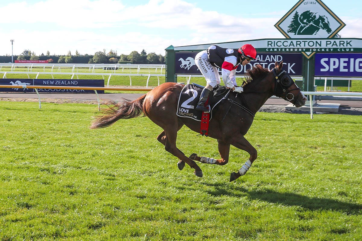 Henry Hubber's win provides lift that trainer needed