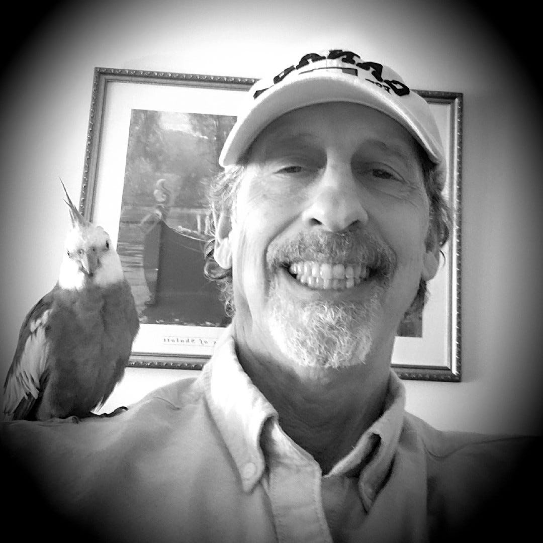 Perry J. Greenbaum | Substack