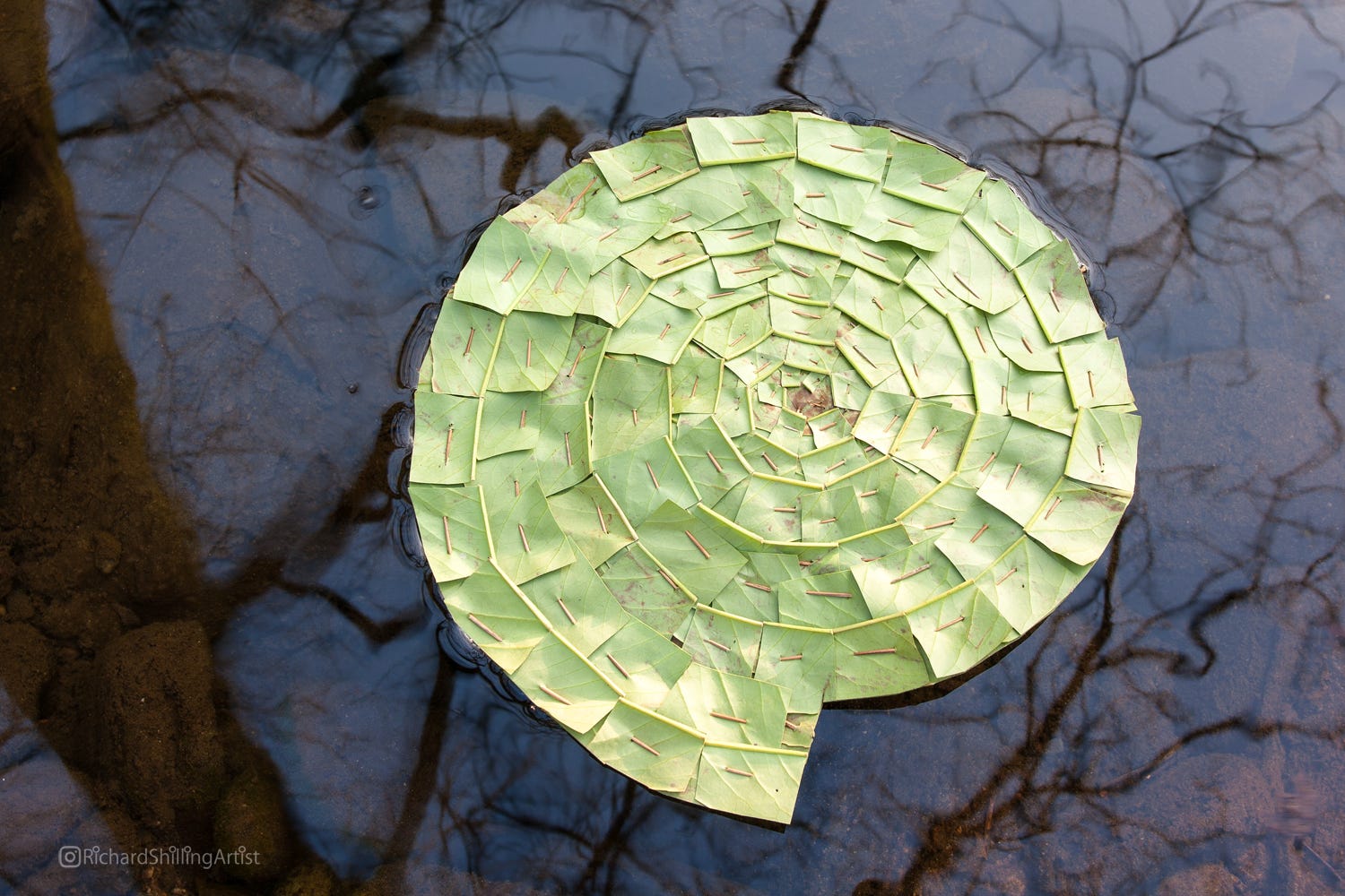 Round and around we go... - Richard Shilling's Nature Art