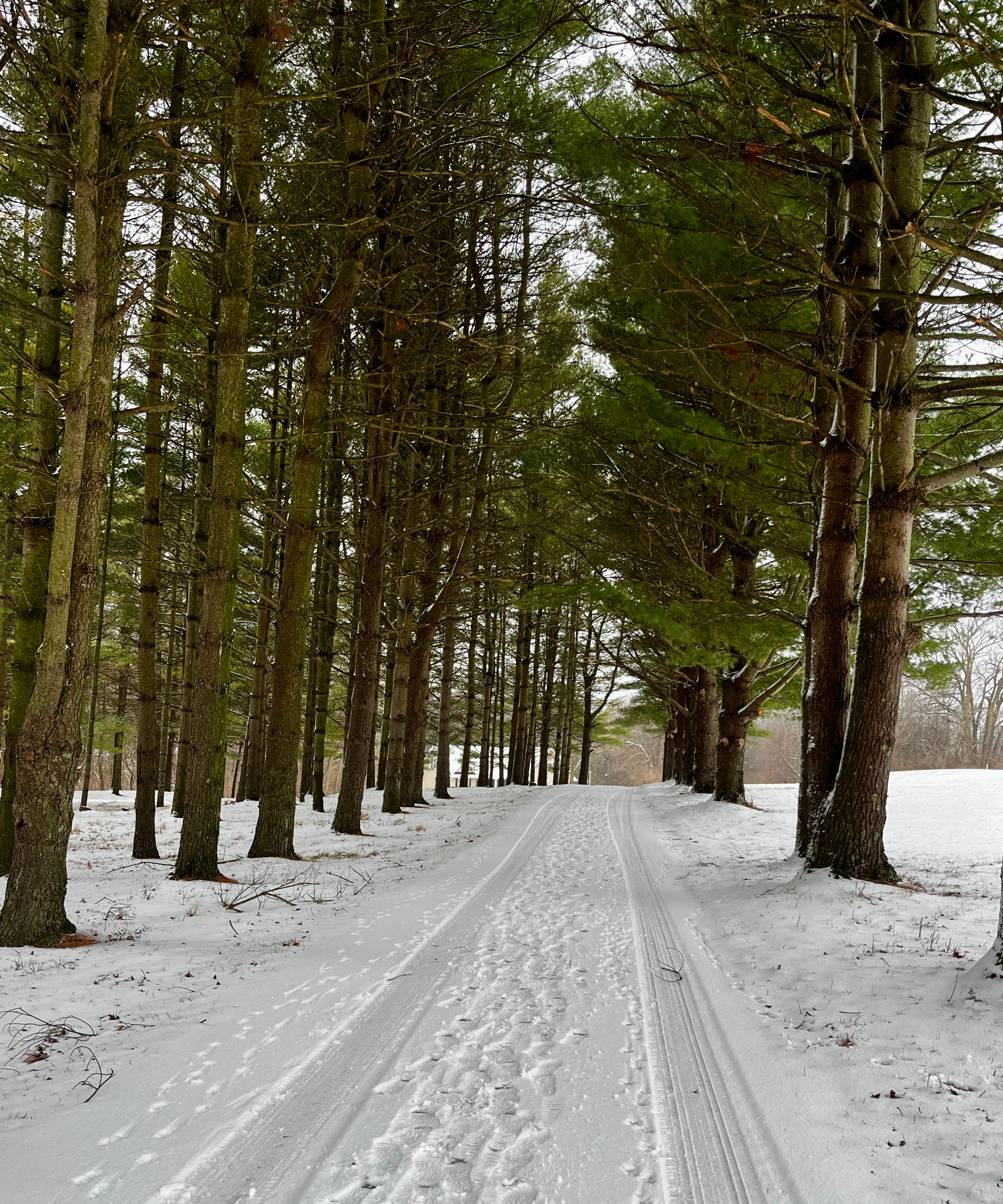 Letter to My 2025 Self - by Deanna Zehr - Deanna’s Substack